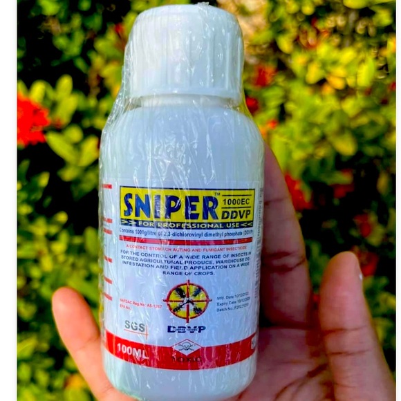 Black Bead | Other | Sniper Roach Bugs Indoor 3 | Poshmark